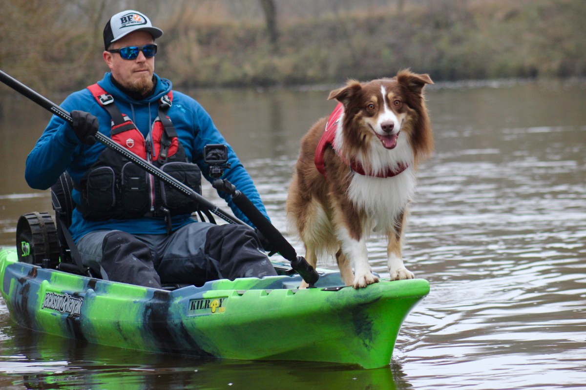 Learn How To Kayak With a Dog